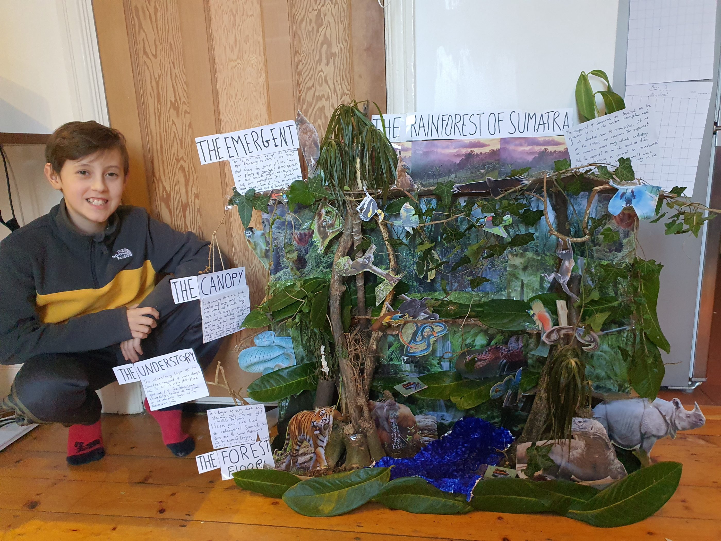 Rainforest Projects - Abingdon Senior School